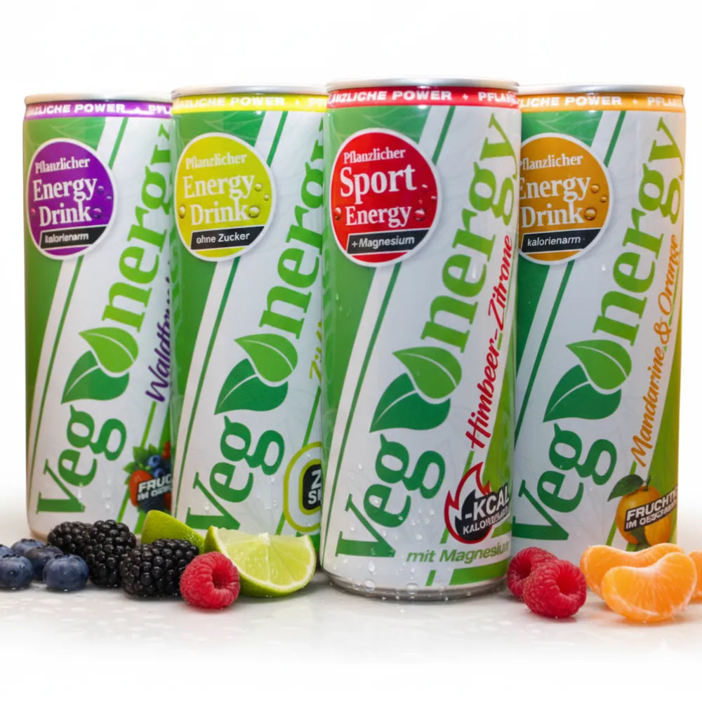 Vegenergy Starterbox – 4 Sorten in einer Box (4×250 ml) | Pfand AT